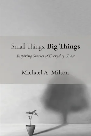 Small Things, Big Things- Wipf and Stock Publishers